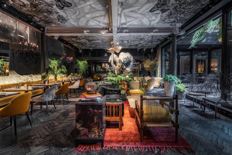 YOPO At The Mandrake London Review - The Luxury Editor