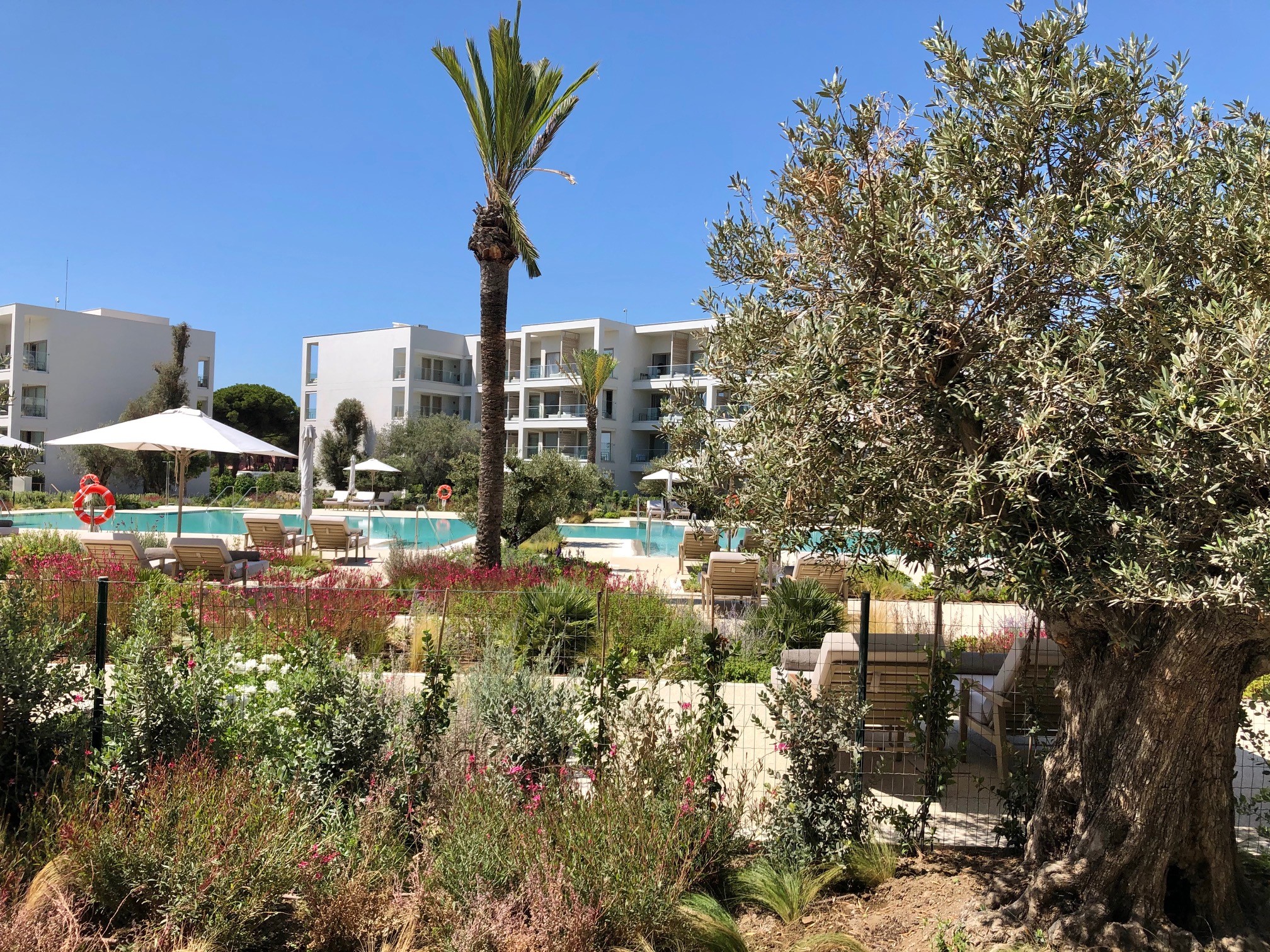 Ikos Andalusia – Review – The Luxury Editor