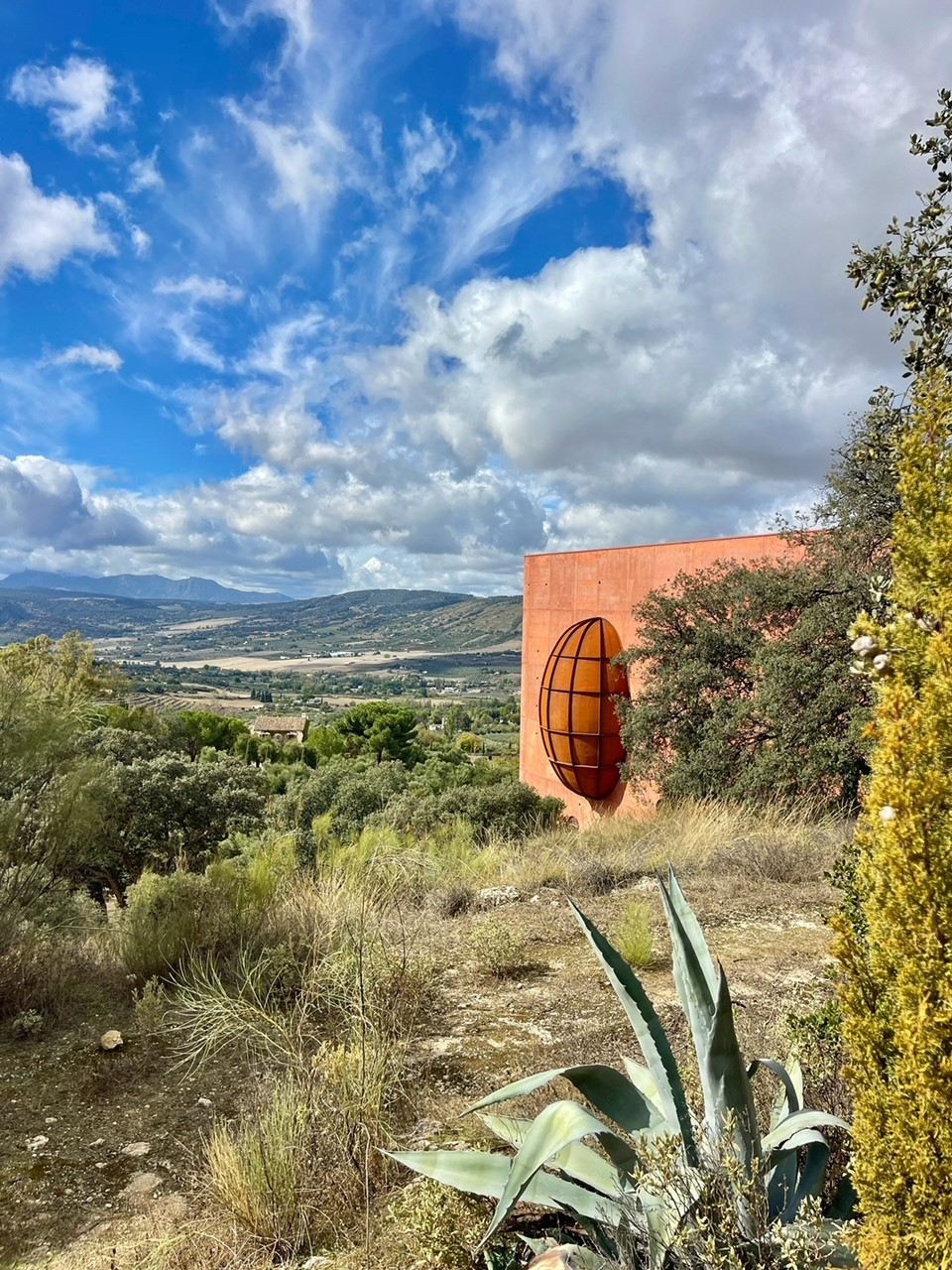 LA Almazara – the World's First Signature Olive Oil Mill – Opens in ...